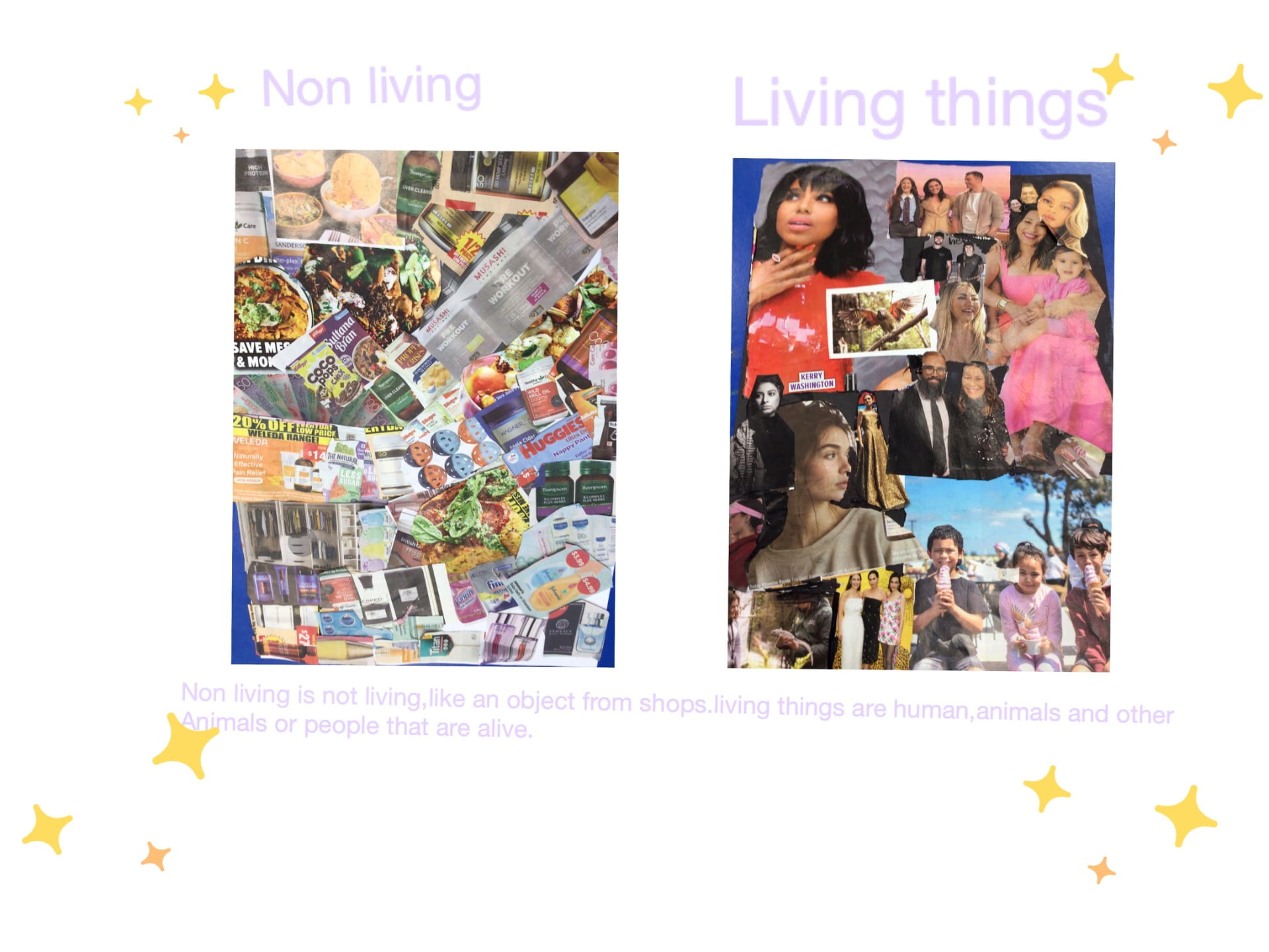 Non living and living things! – The Manaiakalani Network Blogging